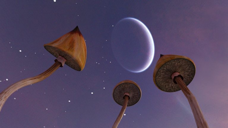 Extracting the Magic from Psychedelic Mushrooms - Extraction Magazine