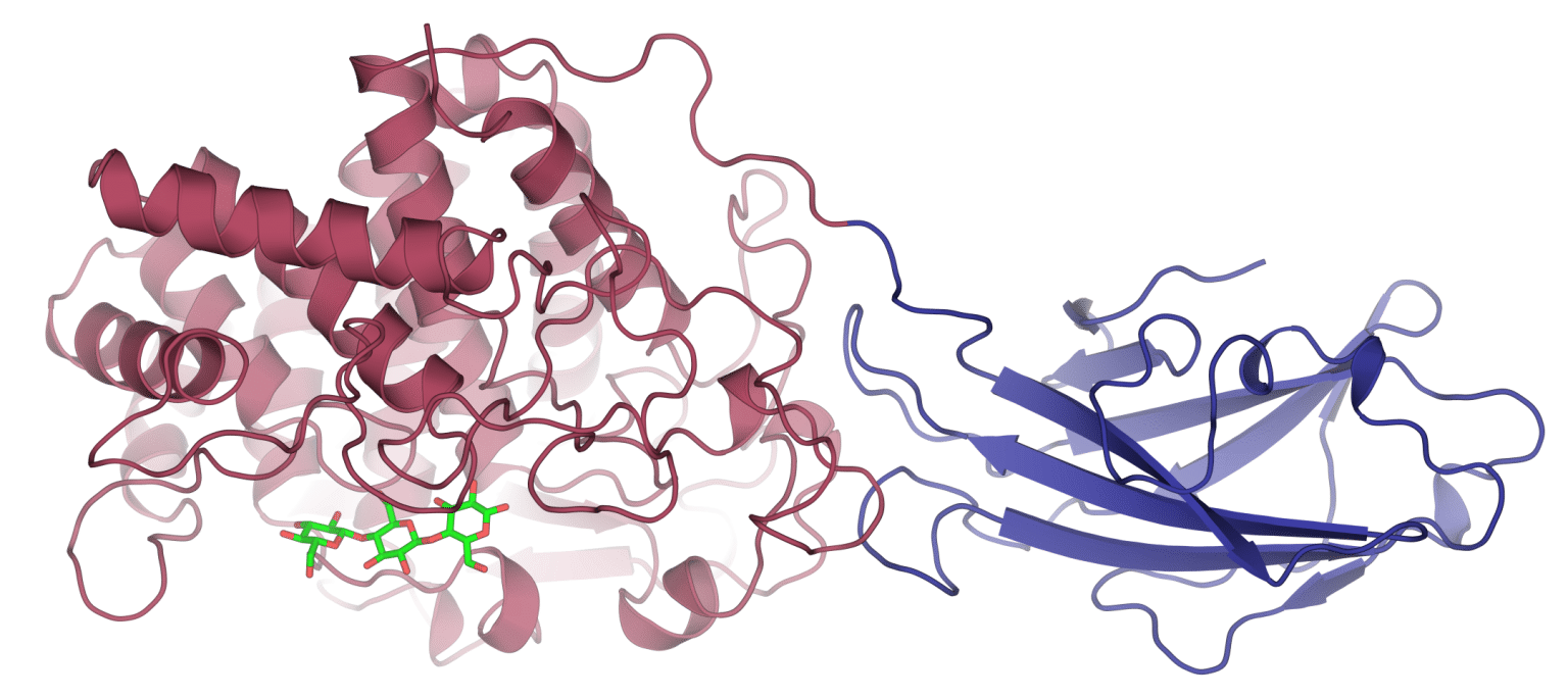 Enzyme-Assisted Extraction - Extraction Magazine