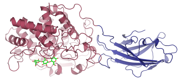 Enzyme-Assisted Extraction - Extraction Magazine