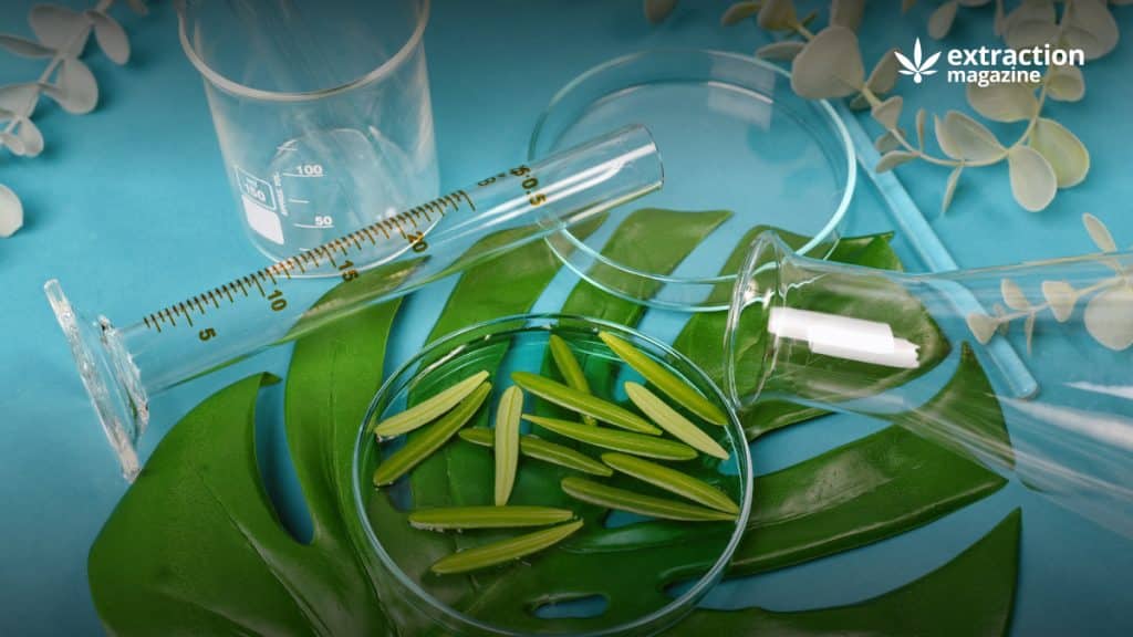 Analytical techniques for plant extracts - Extraction Magazine