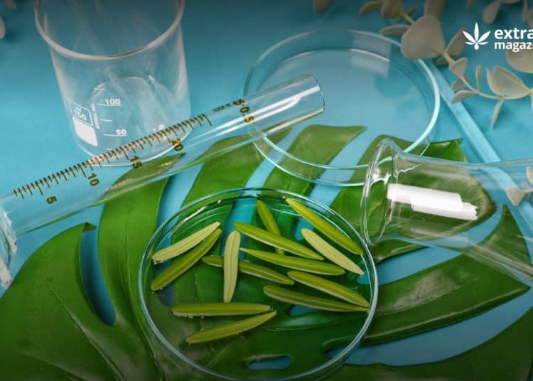 Extraction Magazine - Botanical extraction technologies and news