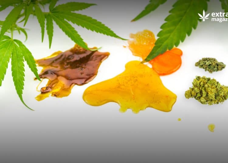 Ultrasonic Cannabis Extraction – Extraction Magazine