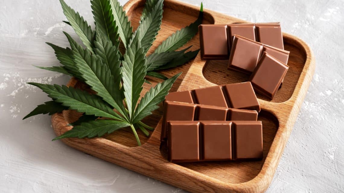 Chocolate, Cannabis, And The Human Brain - Extraction Magazine