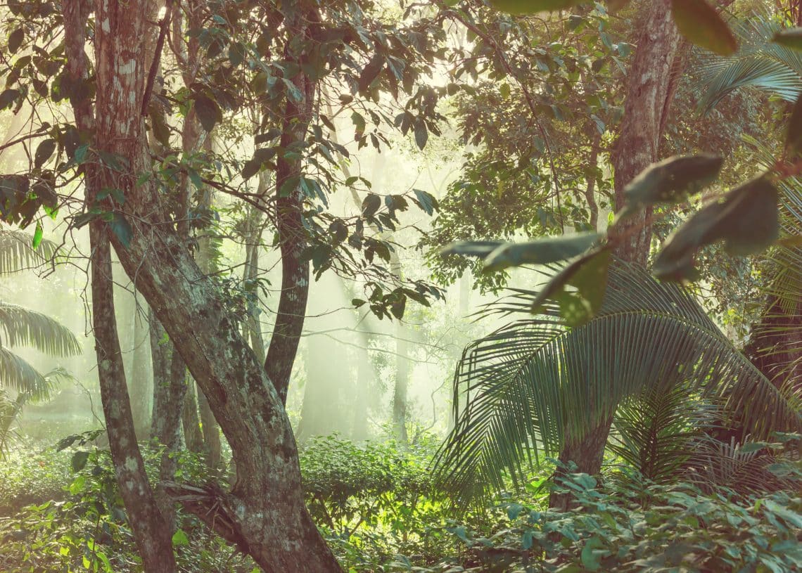 Converting THC to CBN - Extraction Magazine