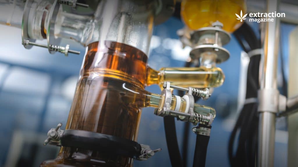 Using enzyme to improve efficiency of mechanical expressed essential ...
