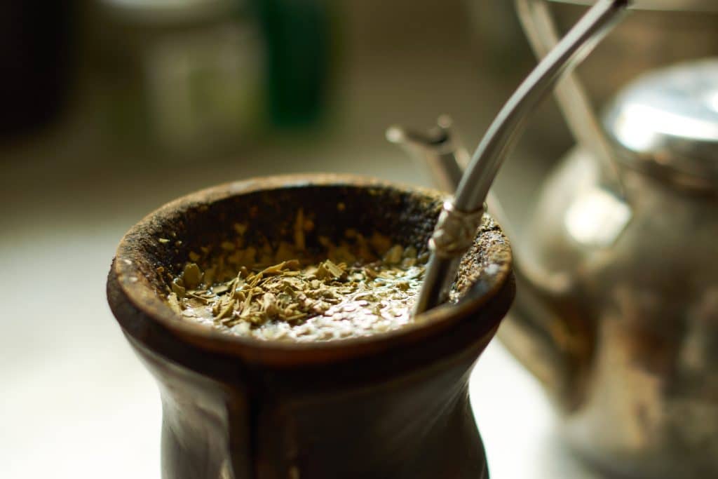 Yerba Mate: the South American Ancestral Drink - Extraction Magazine